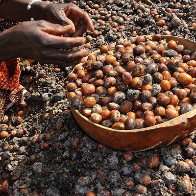 Manteca de Karité, la reina africana | ECOLEO