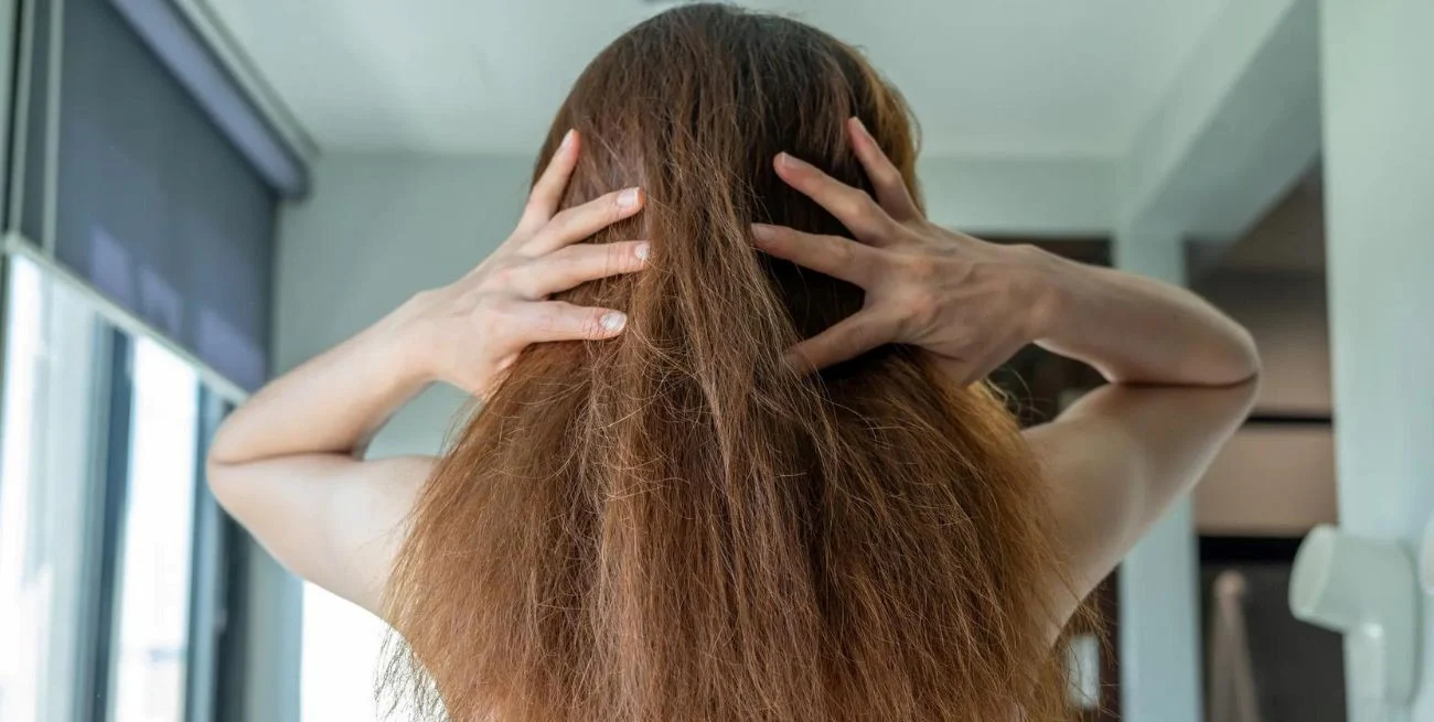 El Frizz en el Cabello: Causas y Cómo Combatirlo | ECOLEO